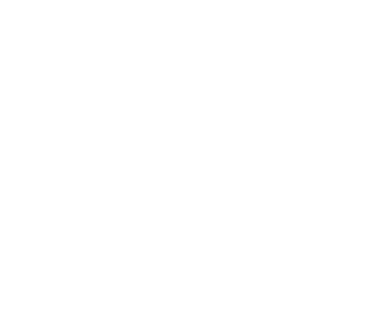 Hibbing Walkability Project – Orange Places Project